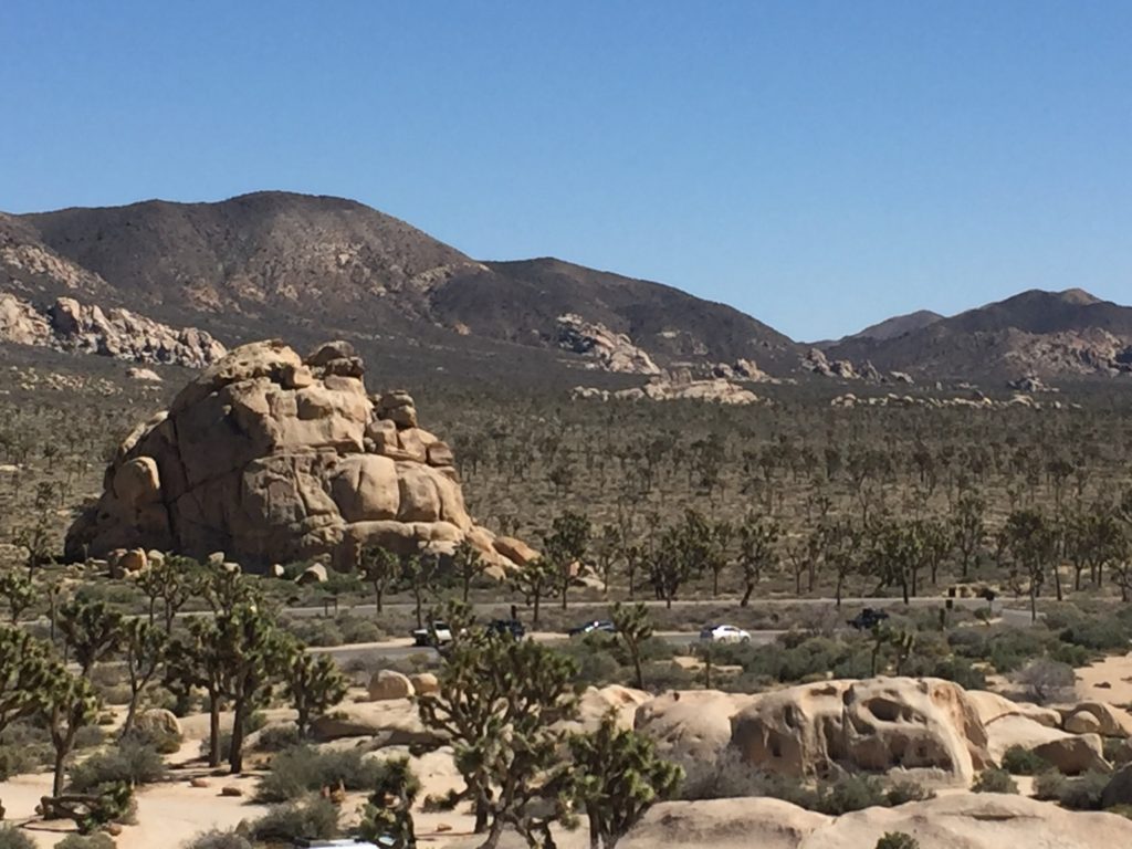 Joshua Tree National Park – A Magical but Rugged Desert Landscape – Our ...